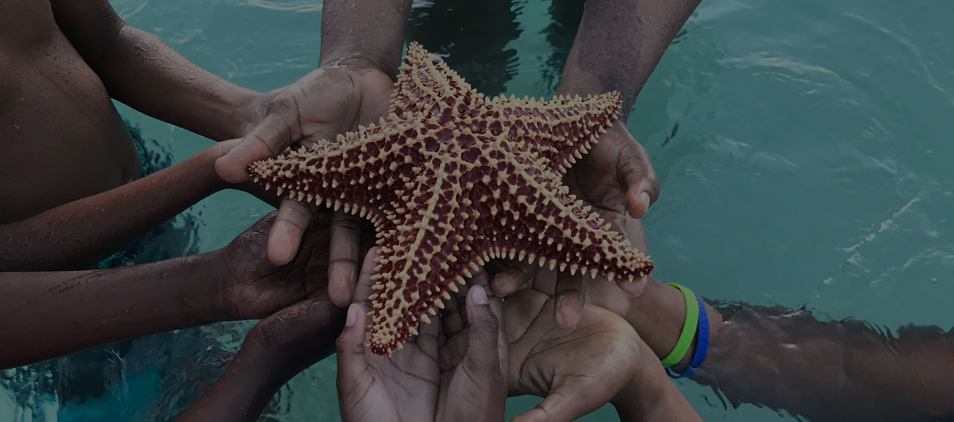 GCSCORED – Every Piece Matters